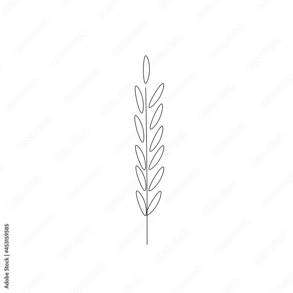 Spikelet of wheat line drawing vector illustration Stock Vector | Adobe ...