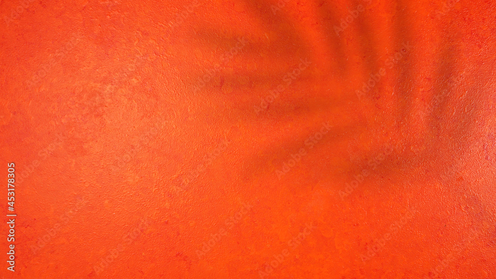 Orange aesthetic tropical theme shadow photography backdrop background ...