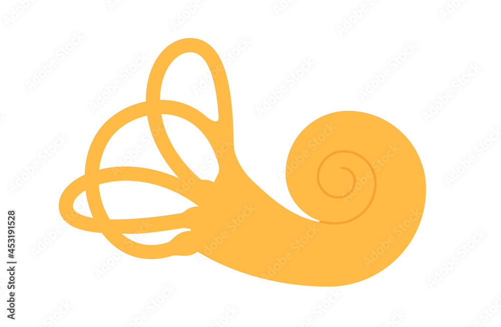 Vestibular apparatus anatomy Stock Vector | Adobe Stock