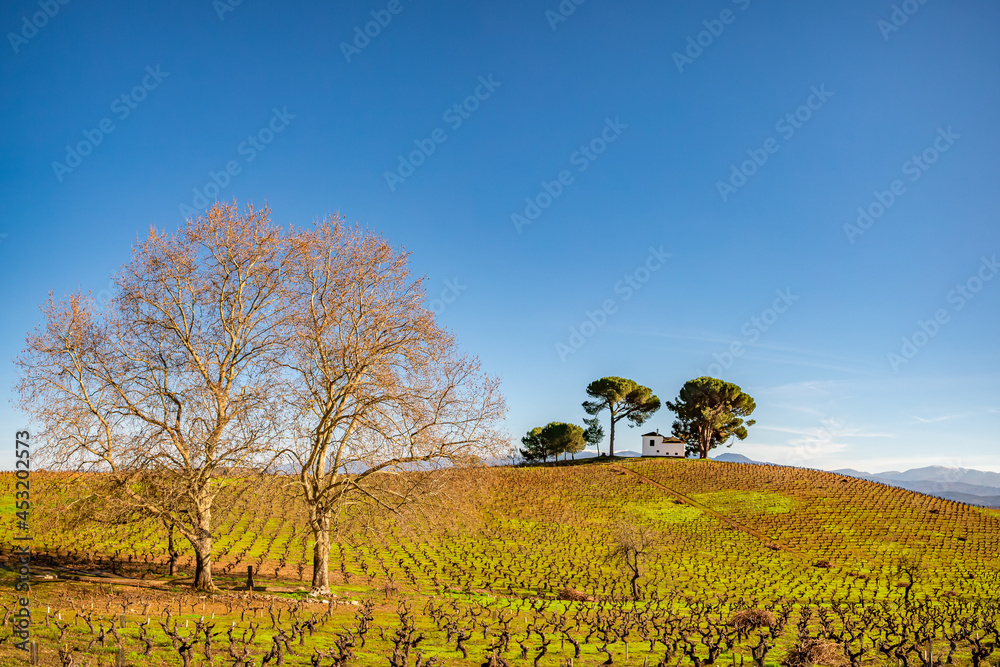 Picturesque idyllic villa house set on Bierzo hilltop vineyard ...