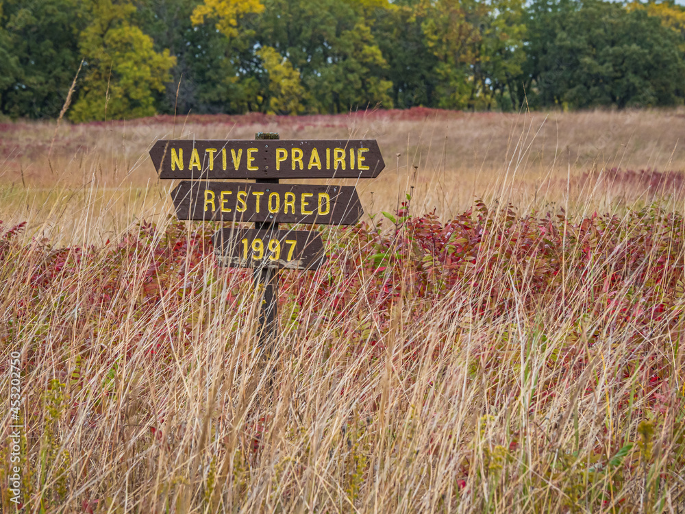 Native prairie restoration sign surrounded by prairie grasses and other ...