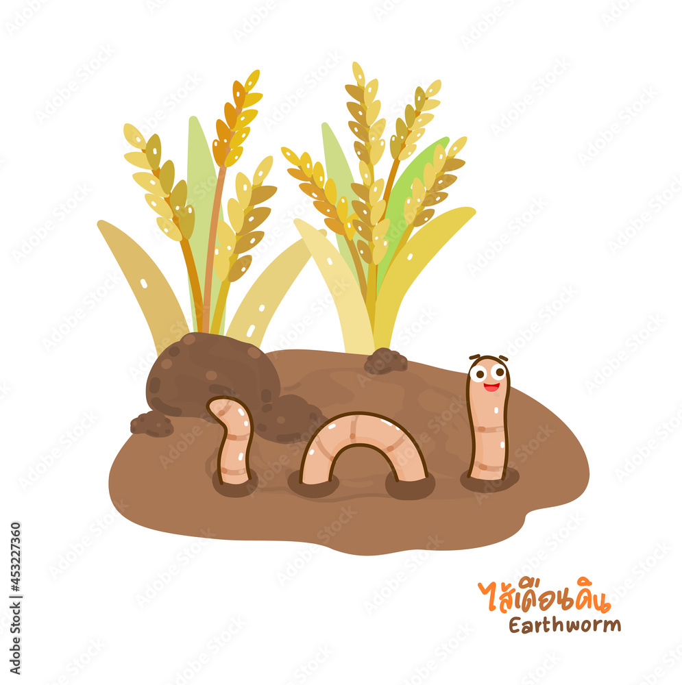 Cartoon Earthworm character . Stock Vector | Adobe Stock