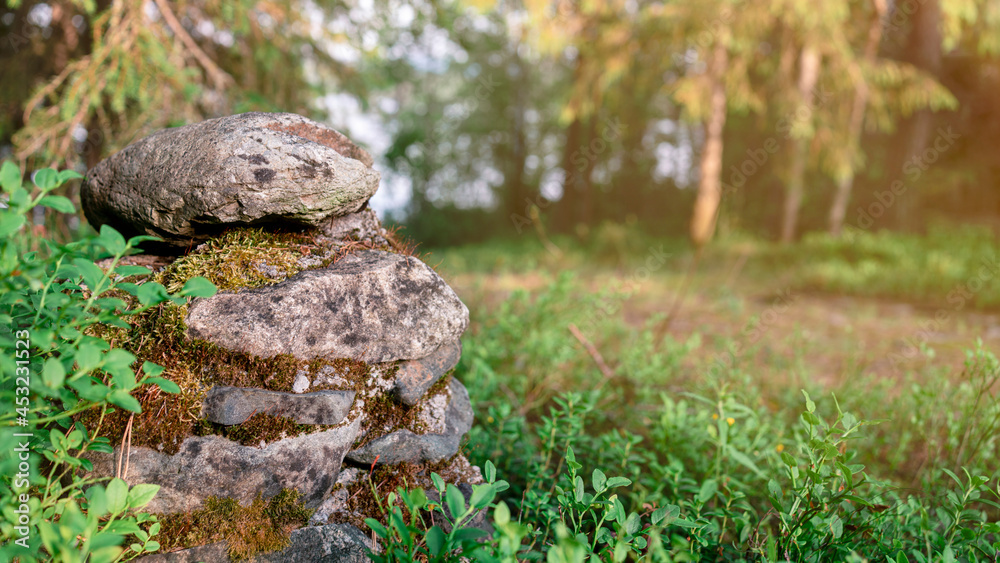 Scenic forest landscape with big mossy stone with green grasses among ...