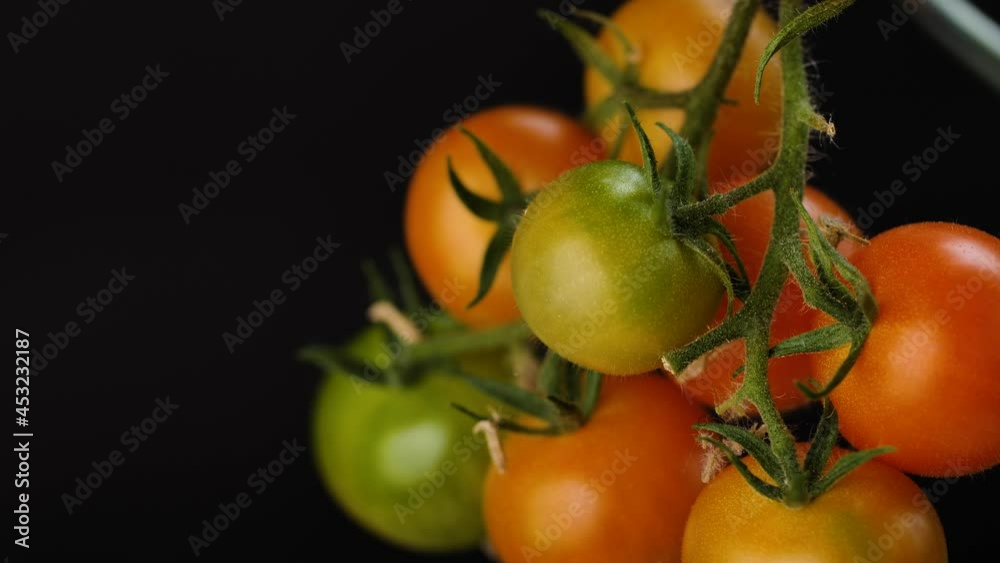 Static shot of green and red cherry tomatoes hanging on a tomato bus ...