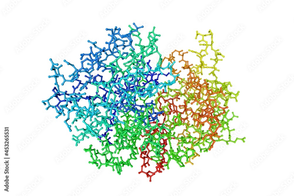 Molecular model of human pepsin 3b, one of the enzymes that digest food ...