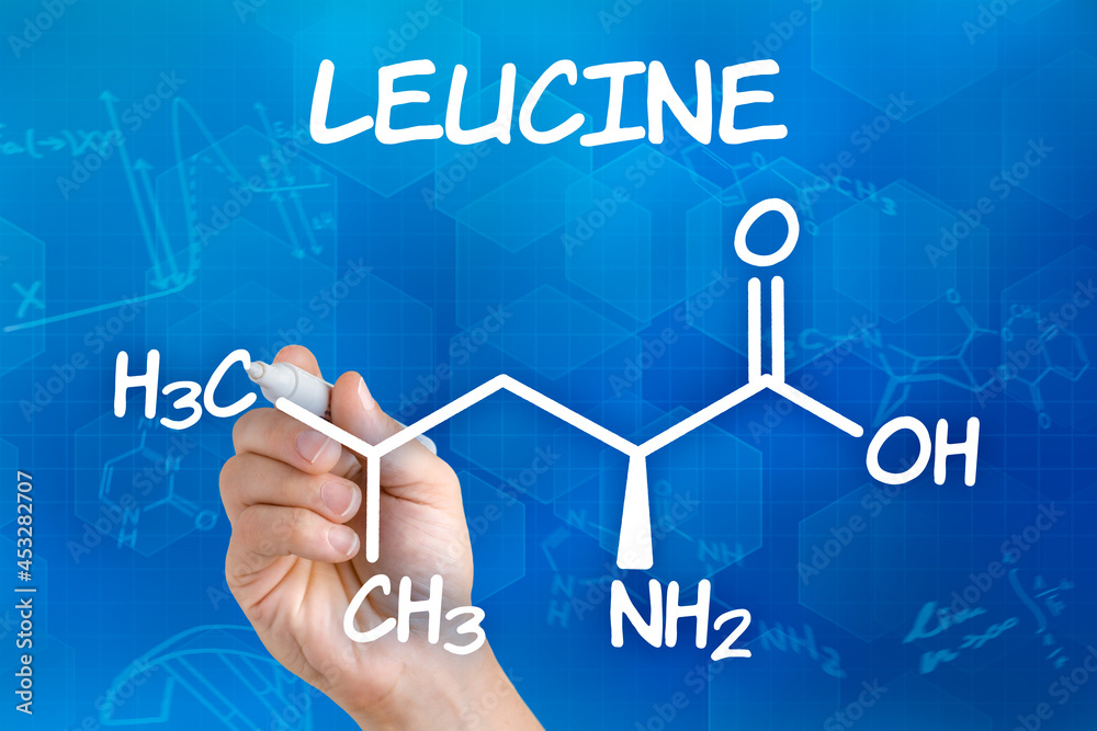 Hand with pen drawing the chemical formula of leucine Stock Photo ...