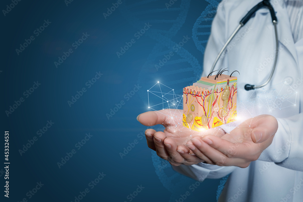 Doctor dermatologist shows a piece of skin . Stock Photo | Adobe Stock