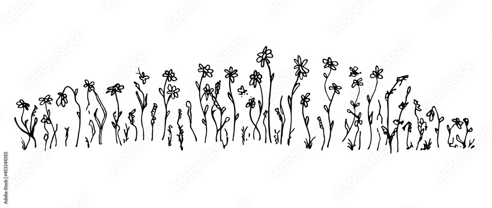 Hand-drawn simple vector drawing in black outline. Wild meadow grasses ...
