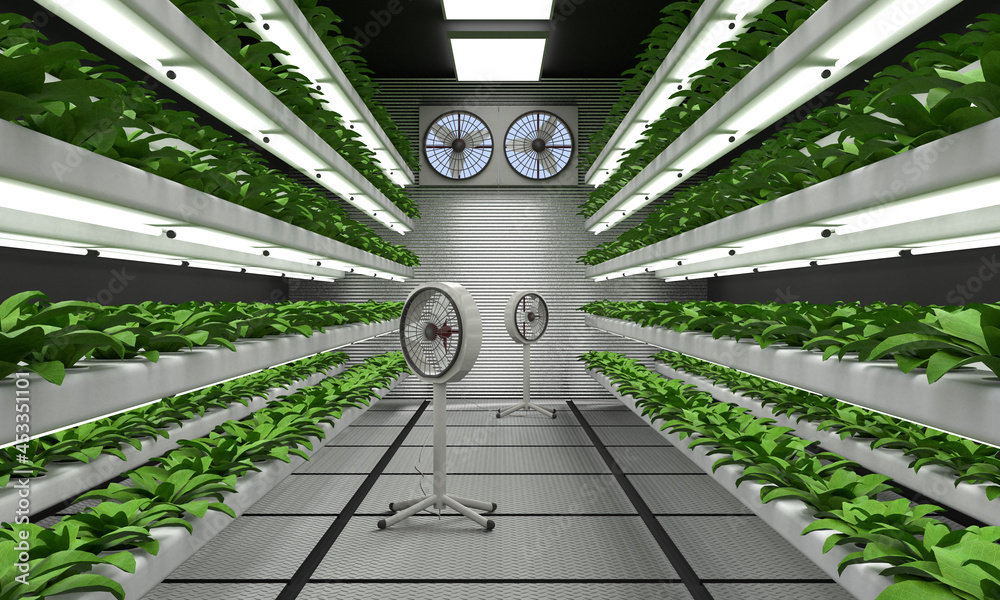 A modern automated farm for growing plants and vegetables with a ...