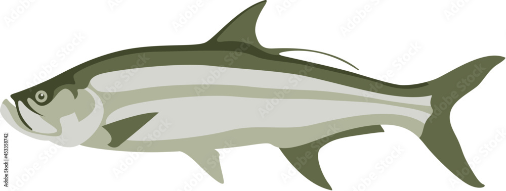tarpon fish, vector illustration, flat style, side Stock Vector | Adobe ...