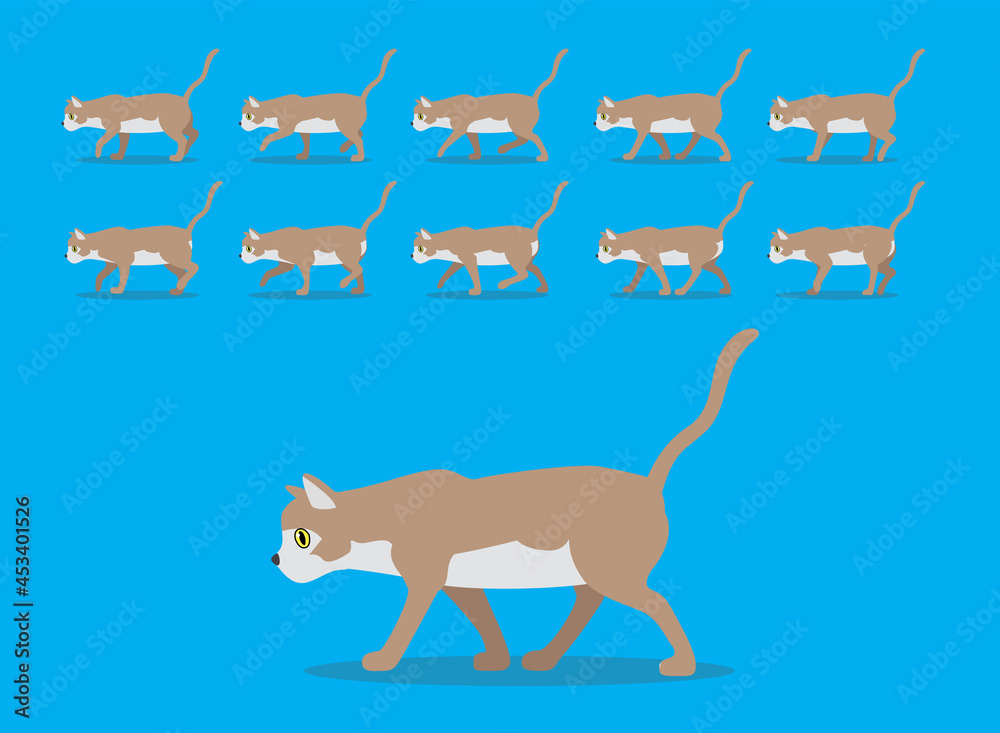 Animal Animation Sequence Cat Burmilla Cartoon Vector Fawn Coat Stock ...