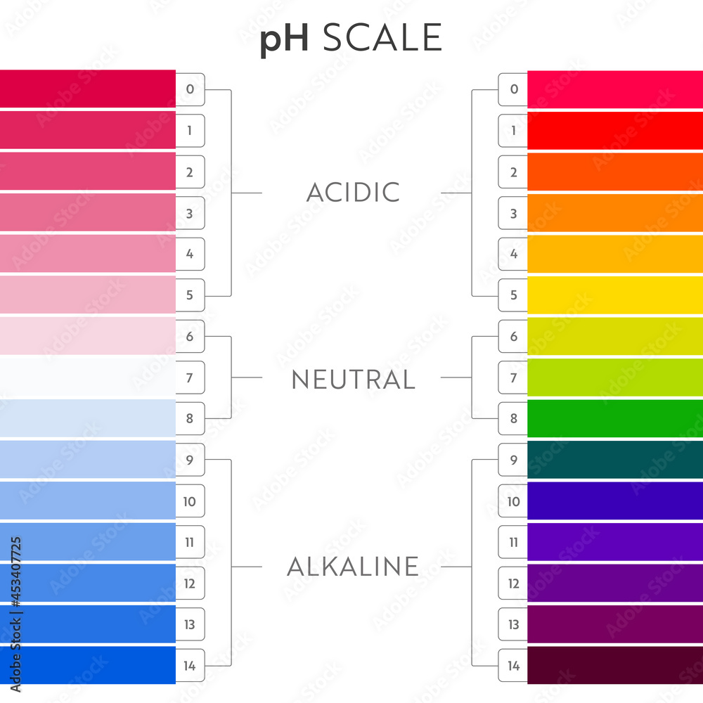 pH Value scale chart. Acid-base balance infographic. Education Poster ...