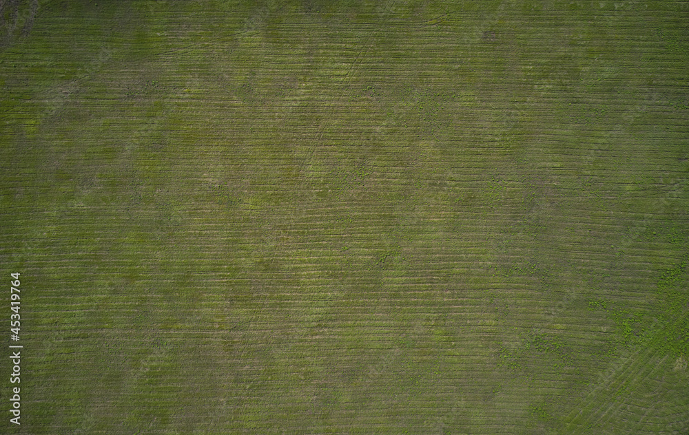 Shot of the field from drone. Farmers field. Road between fields ...