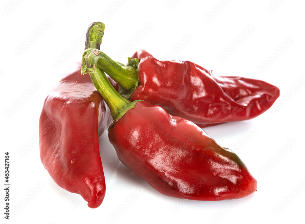 chili in studio Stock Photo | Adobe Stock