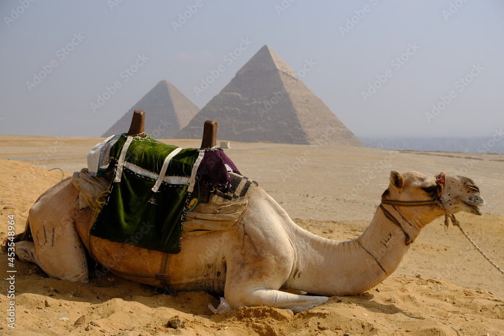 Egypt Cairo - Tour Camel and The Great Pyramid of Giza plus Pyramid of ...