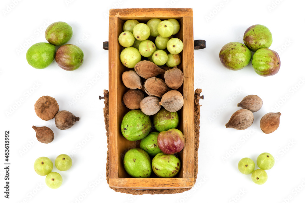 Terminalia bellirica , terminalia chebula and phyllanthus emblica ...