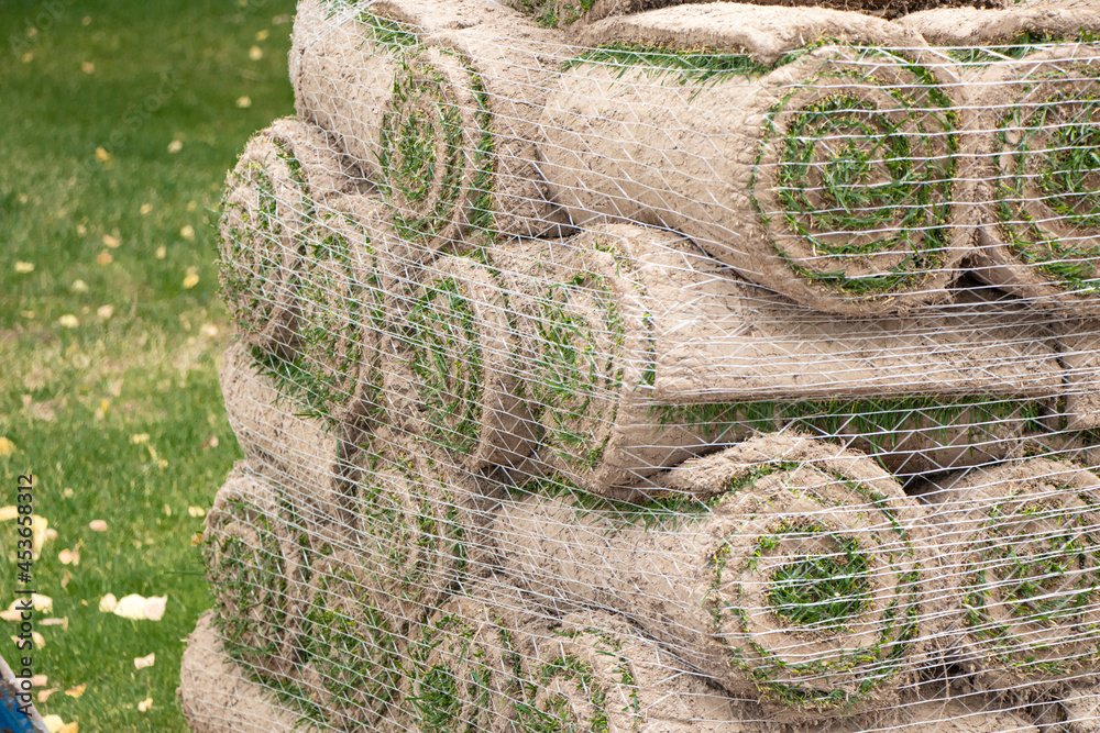 stacks of sod rolls for landscaping. Lawn grass in rolls on pallets on ...