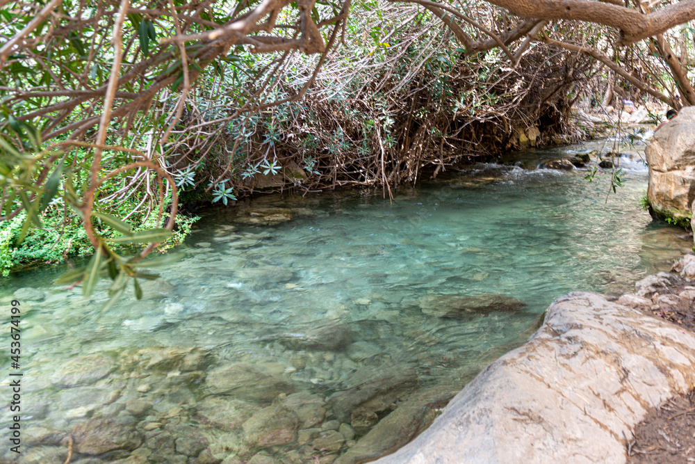 CHARCOS NATURALES MONTAÑA AGUA CRISTALINA AGUA PURA Stock Photo | Adobe ...
