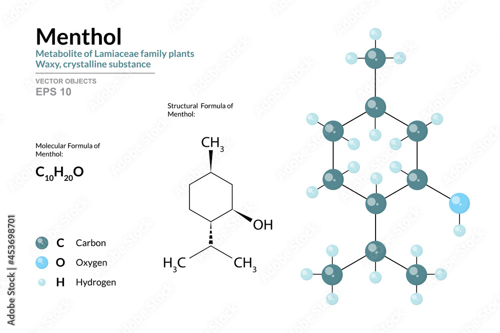 Menthol. Organic Compound Made Synthetically. Metabolite of Lamiaceae ...
