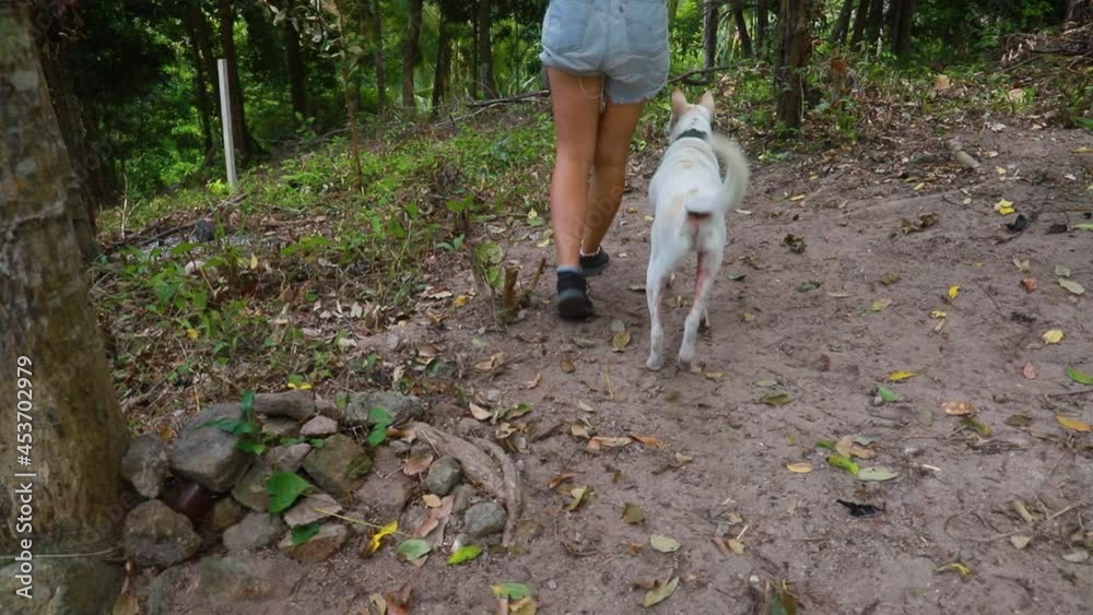 Woman walk with her dog in jungle.Young beautiful girl walks through ...