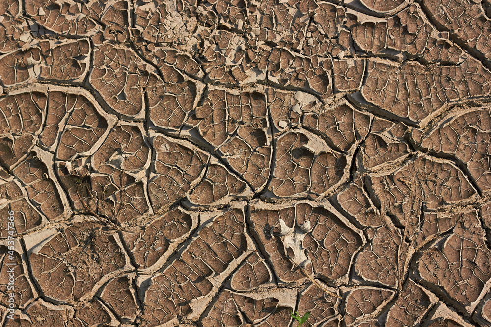 Soil background texture pattern cracks. Drought, cracked earth, mud ...