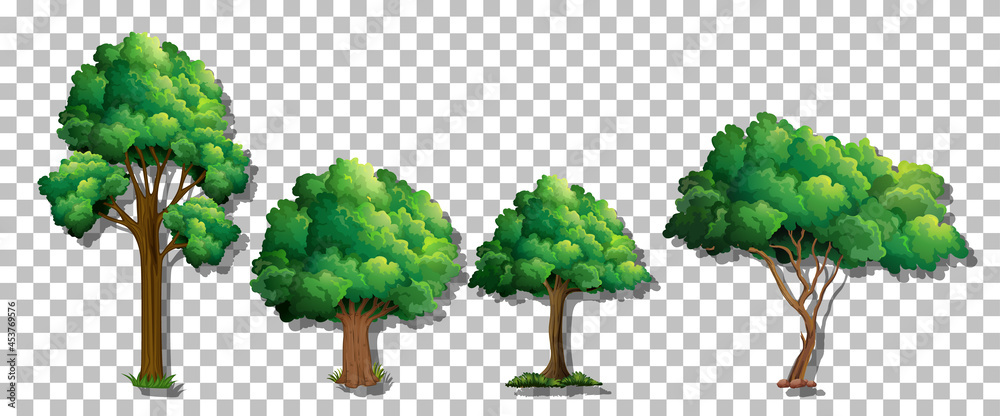 Set of various trees on transparent background Stock Vector | Adobe Stock