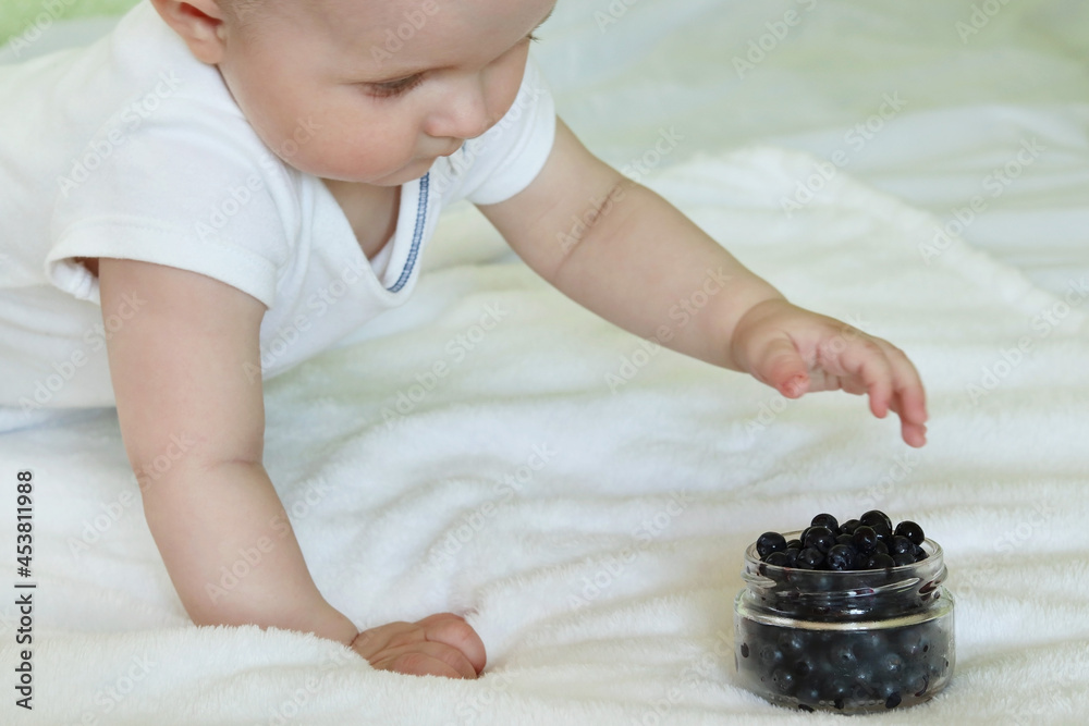 A child reaches for blueberries in a jar on a white background ...