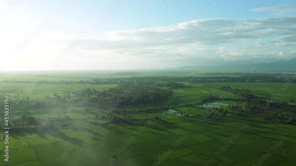 Pinrang, Sulawesi Selatan Indonesia. evening view of the rice fields on ...