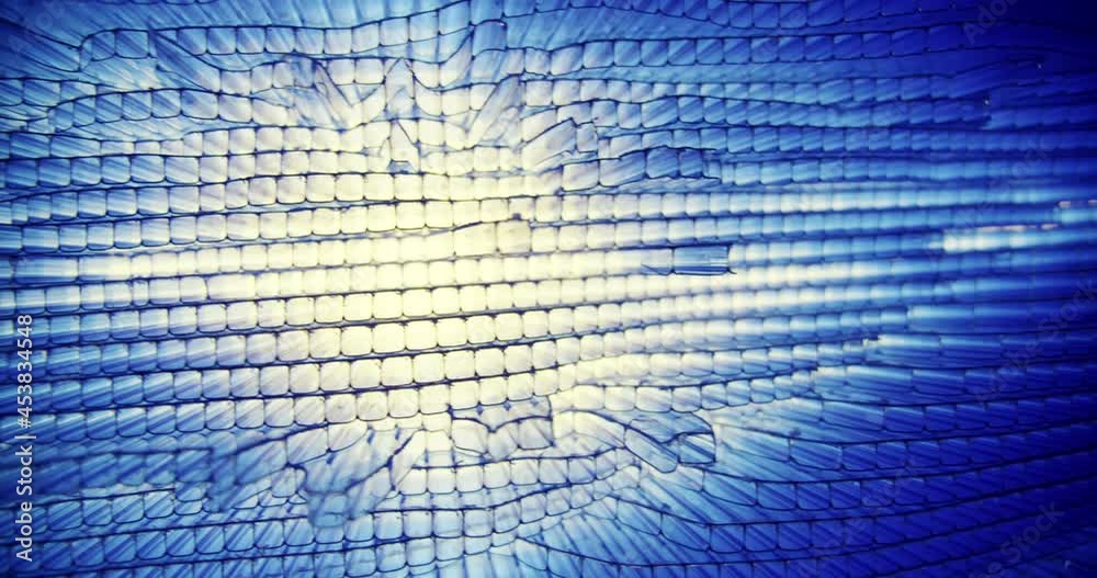 Stockvideon blue glowing background. 4K abstract world movement. blue ...