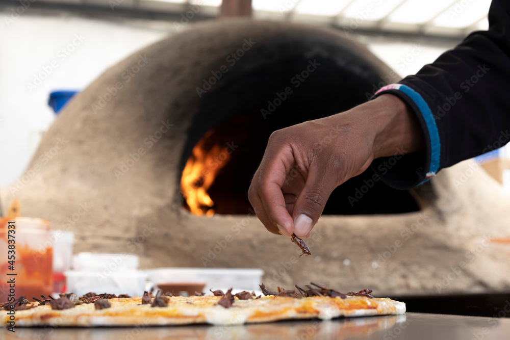 Pizza artesanal preparada con insectos, al fondo horno de leña ...