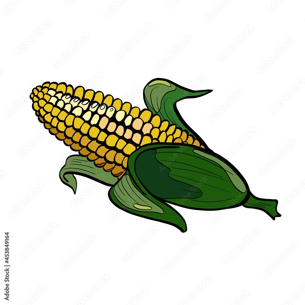 Cartoon corn on a cob illustration Stock Illustration | Adobe Stock