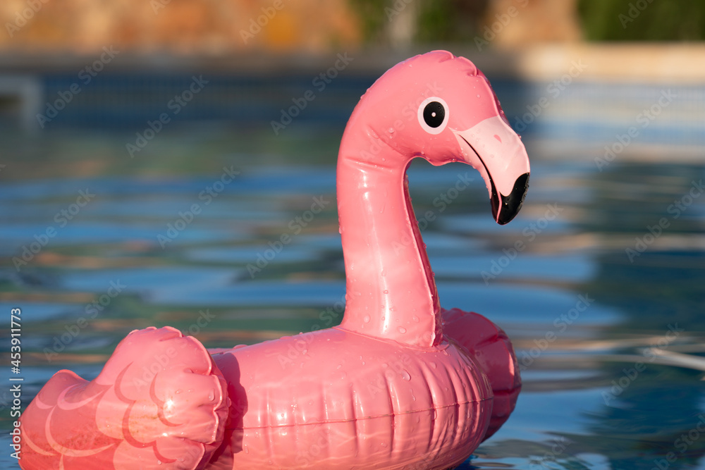 plastic floaty flamingo in pool Stock Photo | Adobe Stock