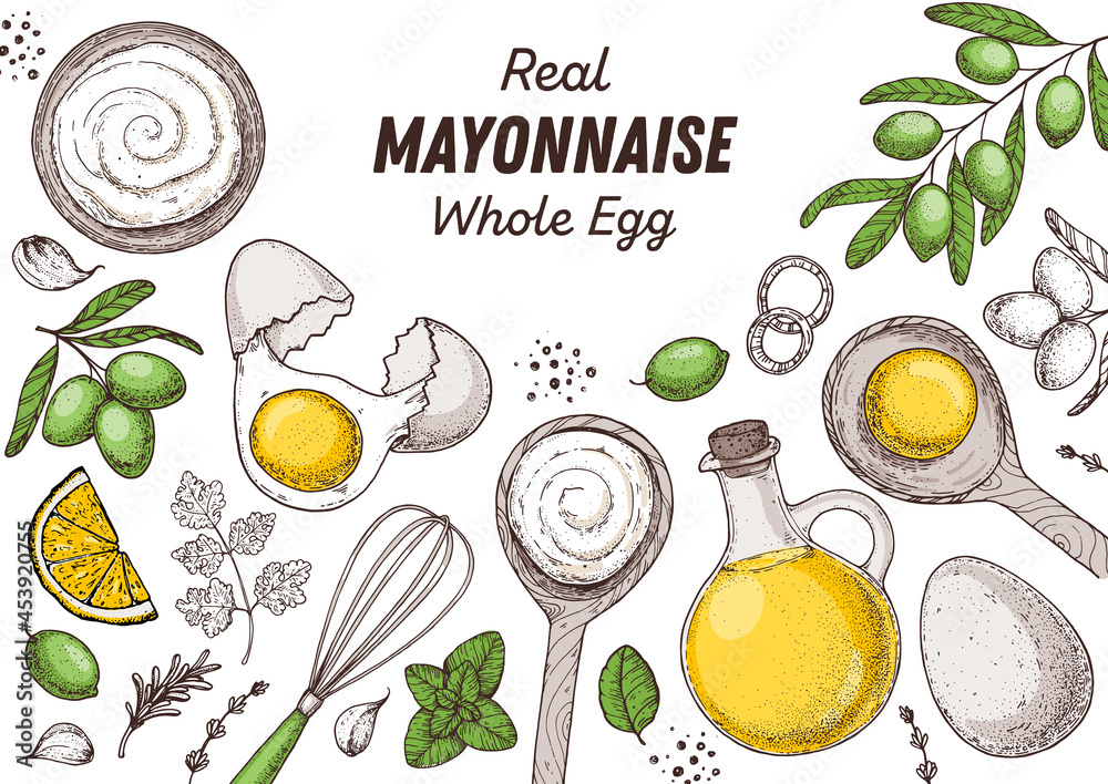 Mayonnaise sauce cooking and ingredients, hand drawn vector ...