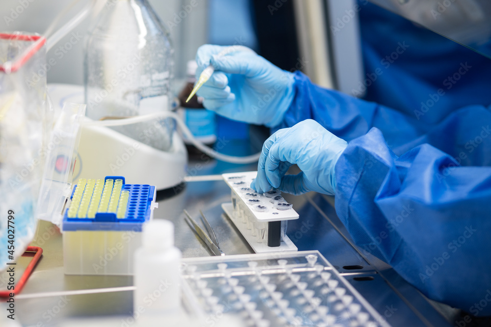 laboratory PCR Testing COVID-19 Stock Photo | Adobe Stock