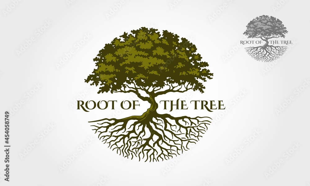Root Of The Tree Vector Logo Template. The vector logo this beautiful ...