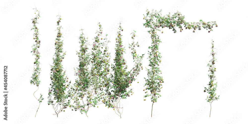 ภาพประกอบสต็อก Climbing plants creepers isolated on white background 3d ...