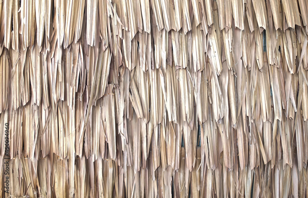 Thatch roof background Stock Photo | Adobe Stock