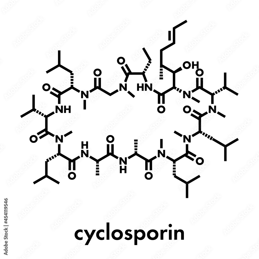 Ciclosporin (cyclosporine) immunosuppressant drug molecule. Used to ...