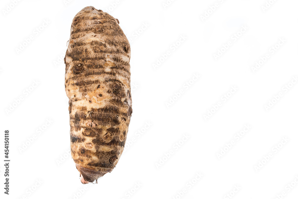 Malanga Edible Tuber - Root Of The Plant Called Colocasia Esculenta ...