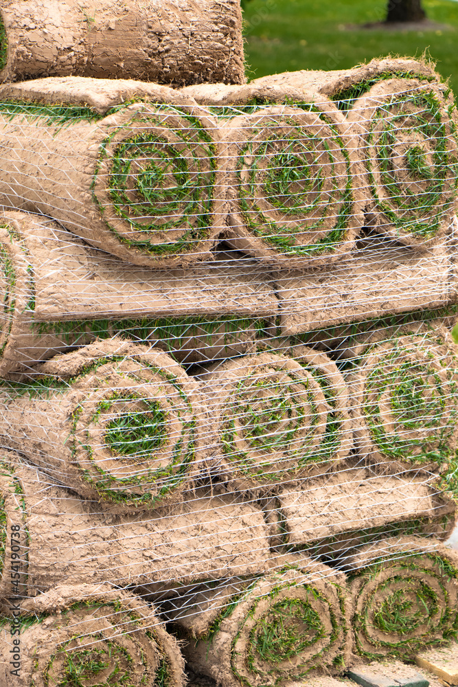 stacks of sod rolls for landscaping. Lawn grass in rolls on pallets on ...