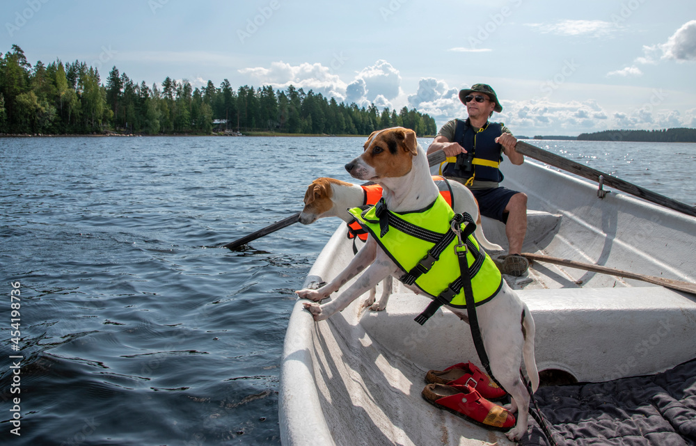Man rowing on a lake in a rowing boat with dogs Stock Photo | Adobe Stock