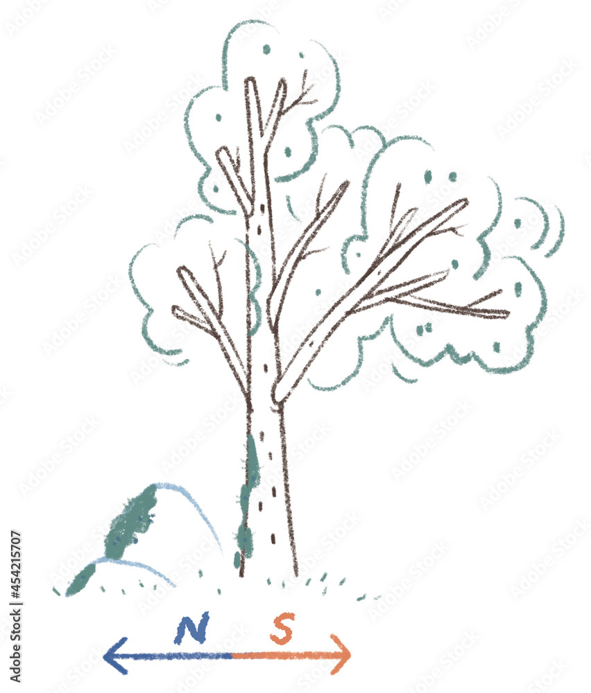 Cardinal directions, points of the compas, North, South illustration ...