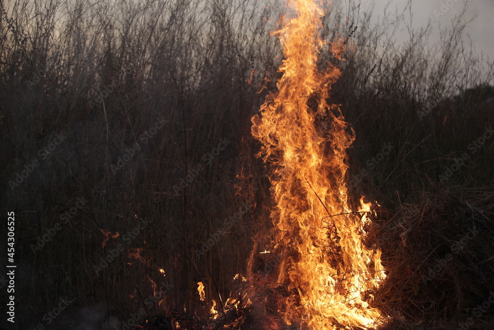 wide angle photography of a bush fire, with big red, yellow and orange ...