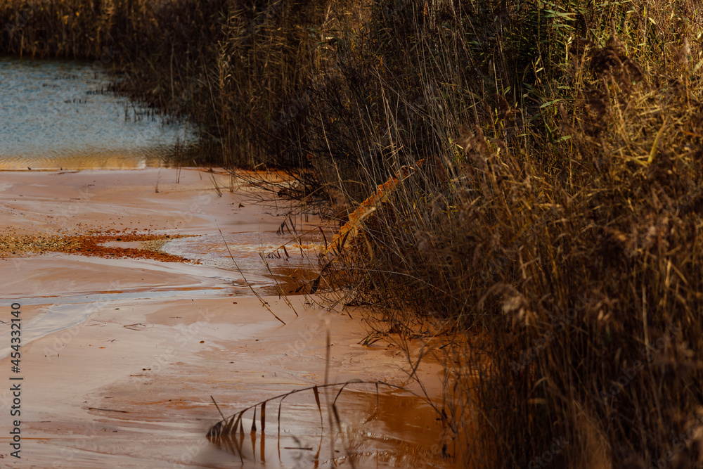 the pipe discharges waste into the water. contamination of the ...