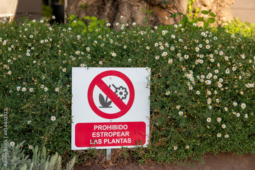 Garden with the sign in Spanish "prohibido estropear las plantas ...