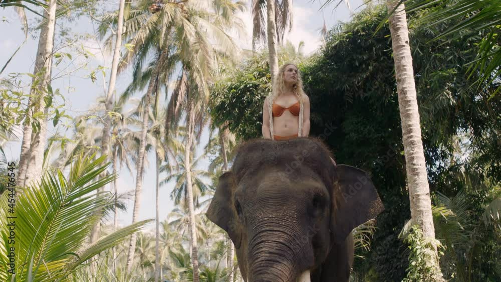 beautiful woman riding elephant in jungle exploring exotic tropical ...