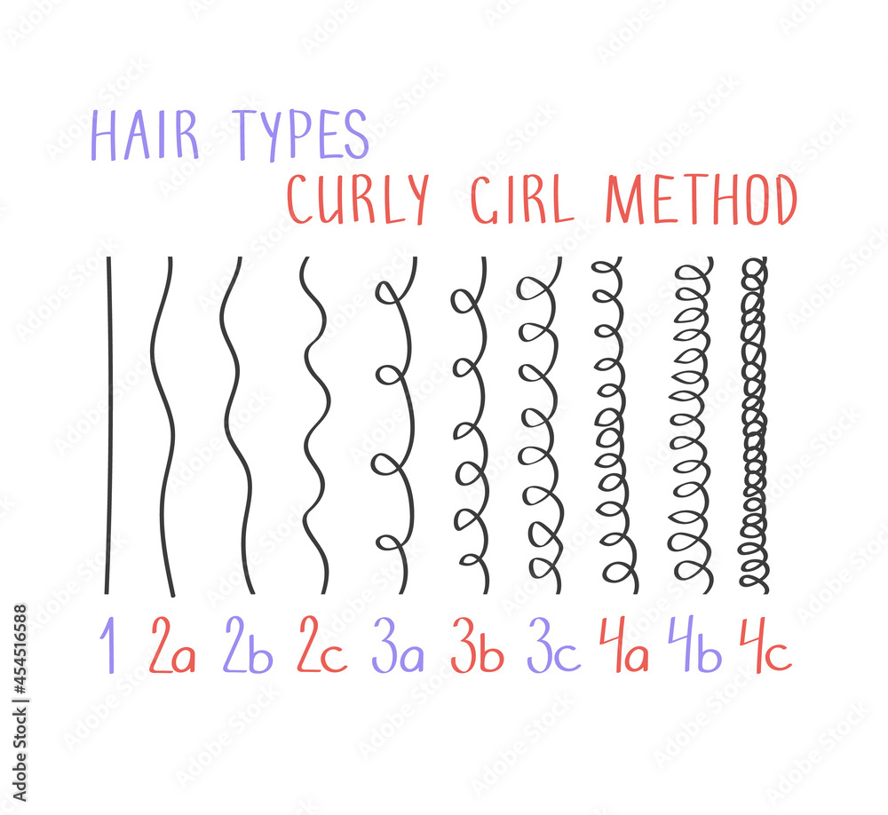 Vector illustration of hair types with all curl types labeled from 1 to ...