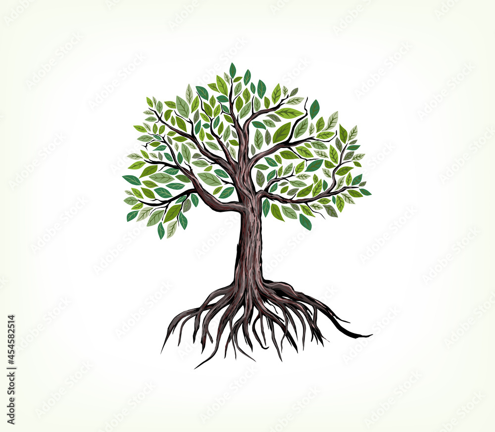 tree and roots vector illustration isolated, tree logo designs Stock ...