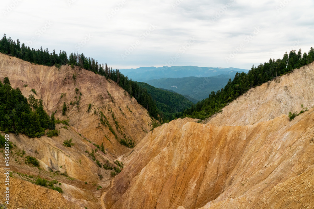 Ruginoasa ravine nature reserve in Apuseni mountains from Romania with ...