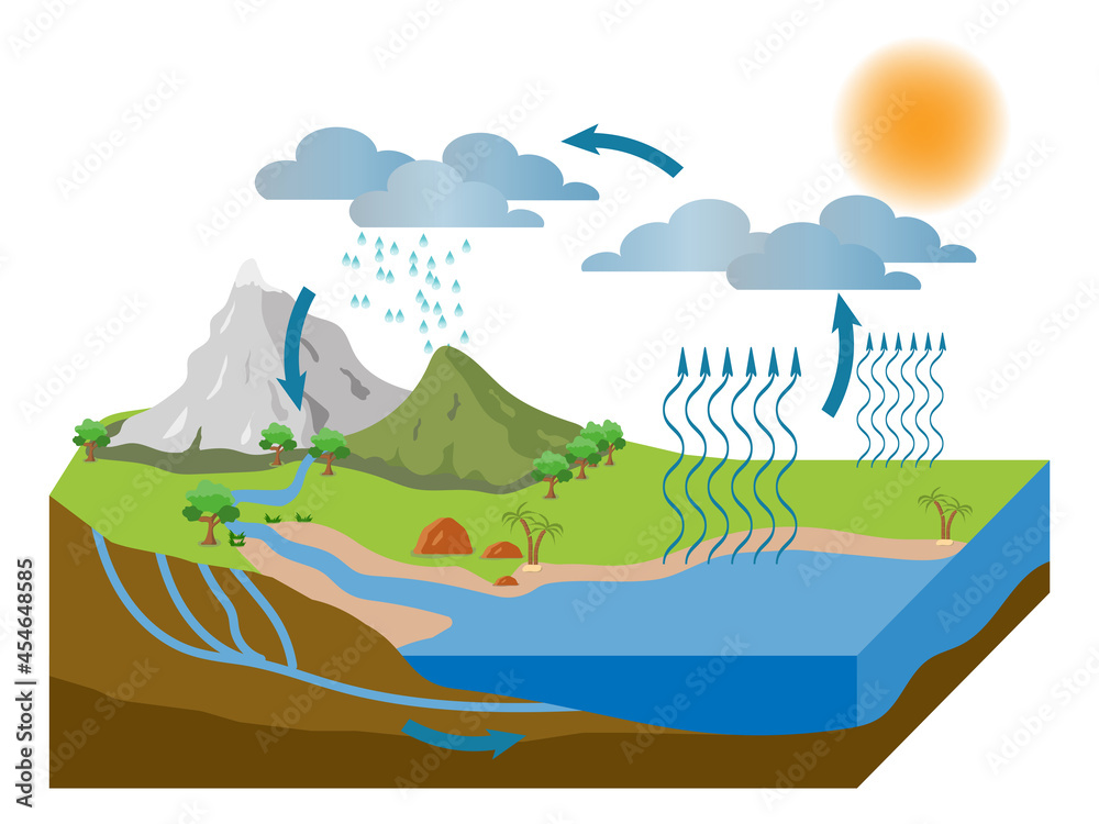 vector illustration of the water cycle in nature. ESP10. Stock Vector ...